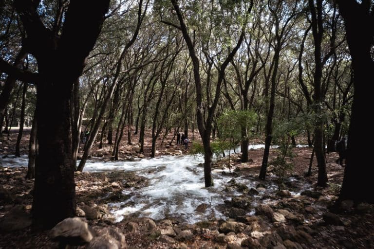 Ses Fonts Ufanes: the magic fountains of Majorca | Yo soy Mallorca